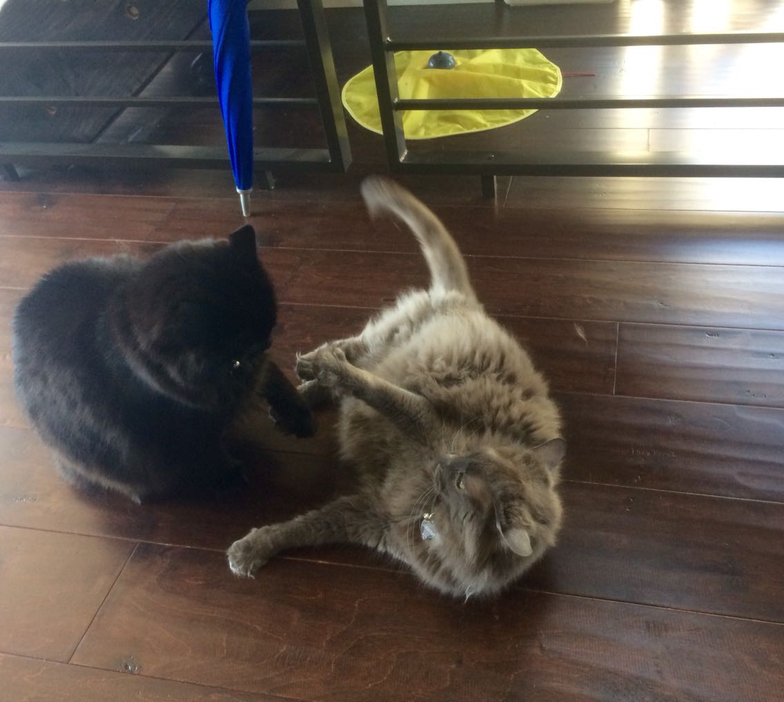 DO. NOT. TOUCH. ME. | Scrolller