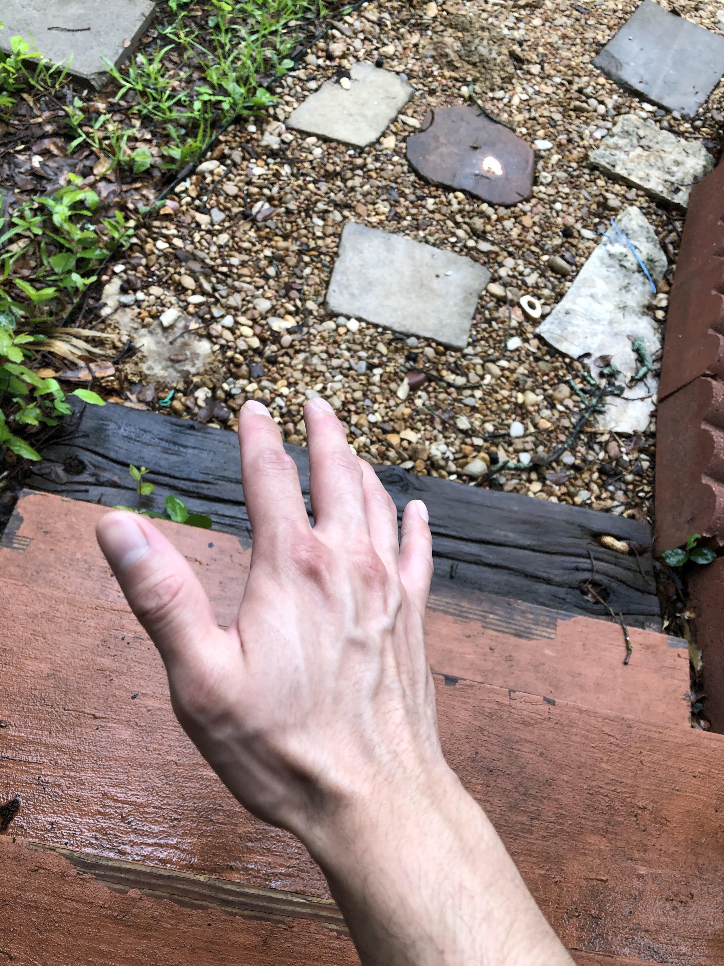 Do you like veiny hands? | Scrolller