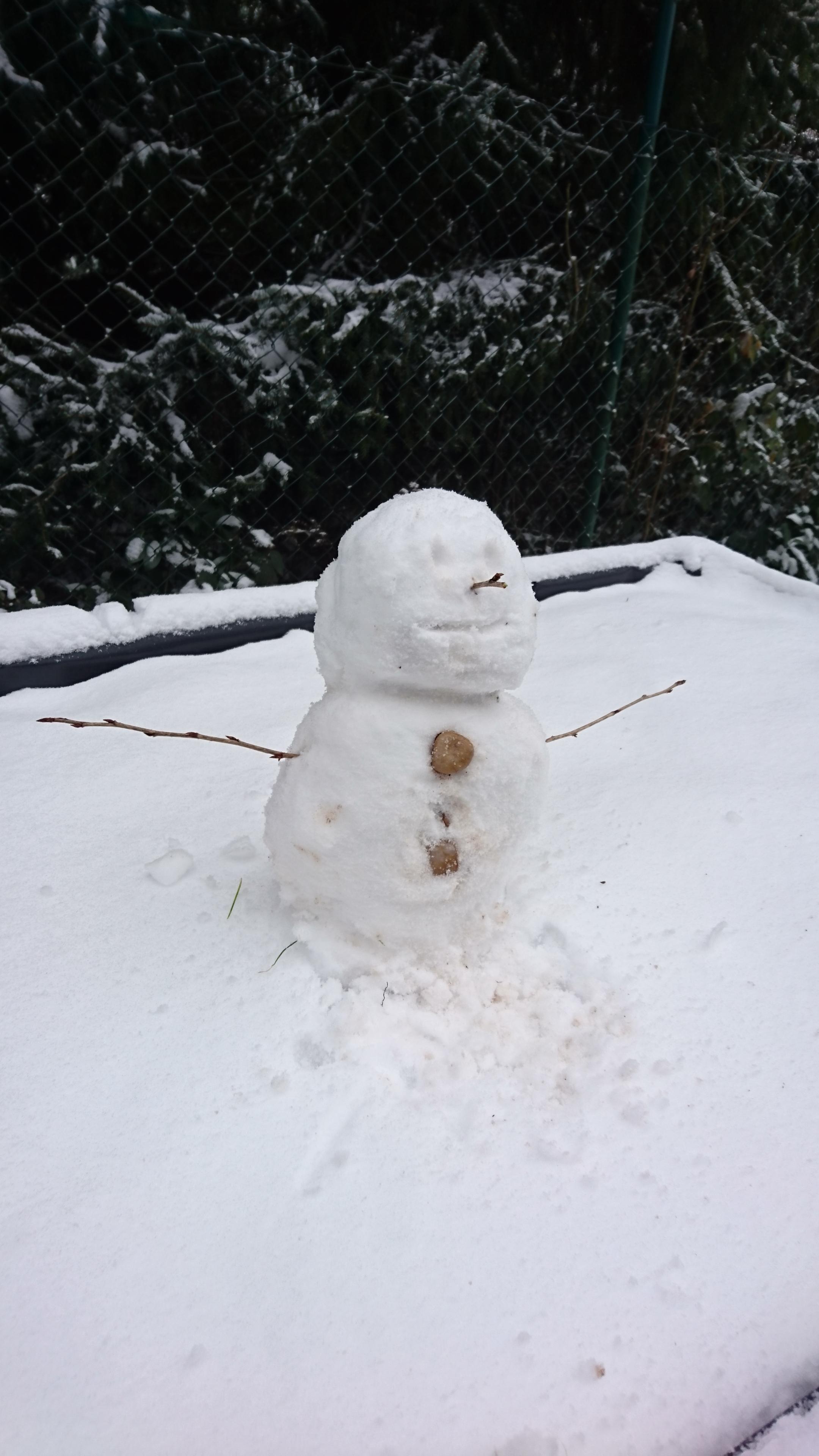 Do you wanna build a snowman? | Scrolller