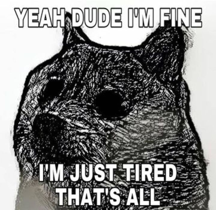 Does it matter¿ | Scrolller