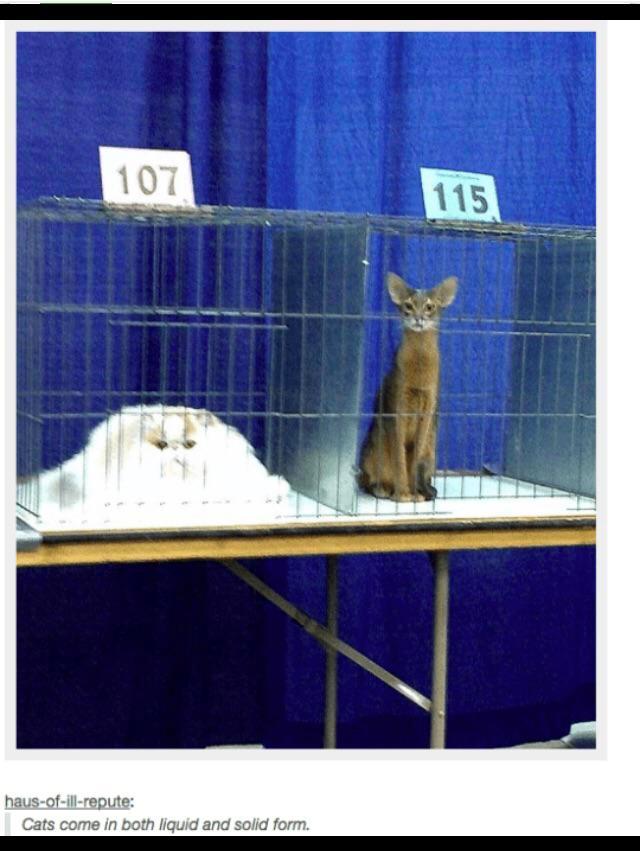 Does this count ? | Scrolller