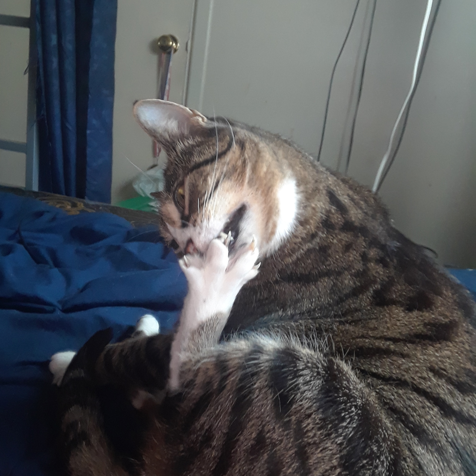 Does this count? | Scrolller