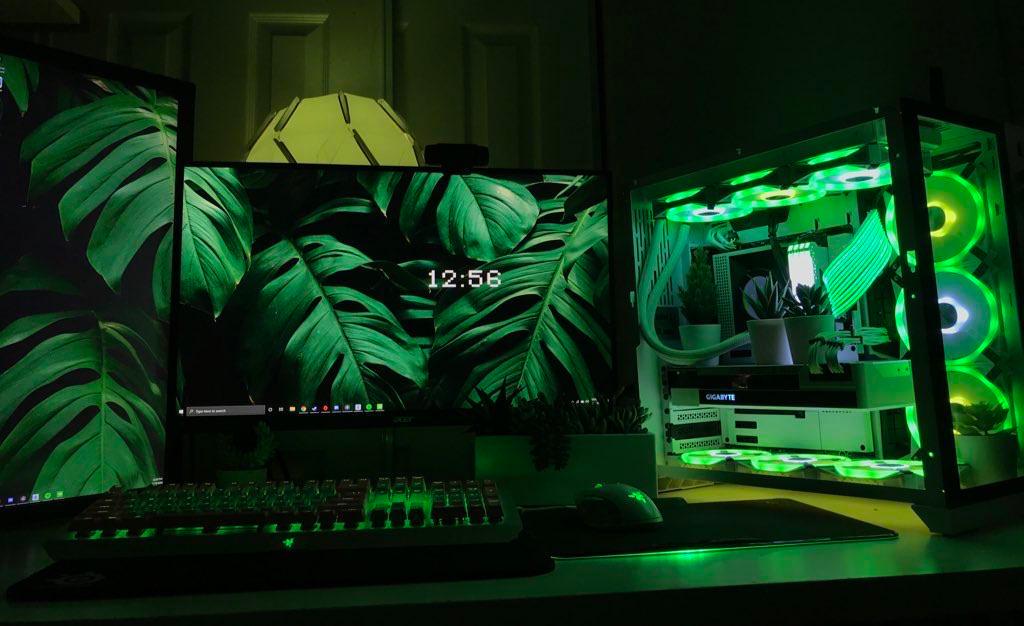 Does this count as greenery | Scrolller