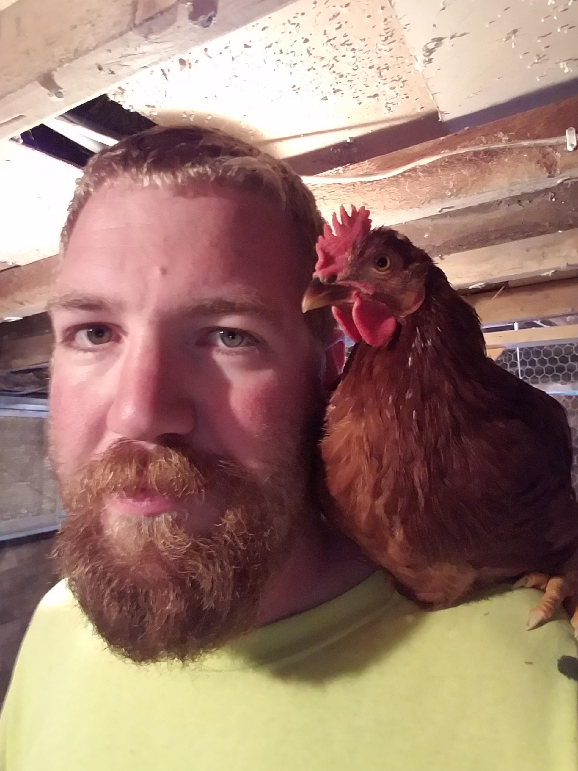 Does this every single night. | Scrolller