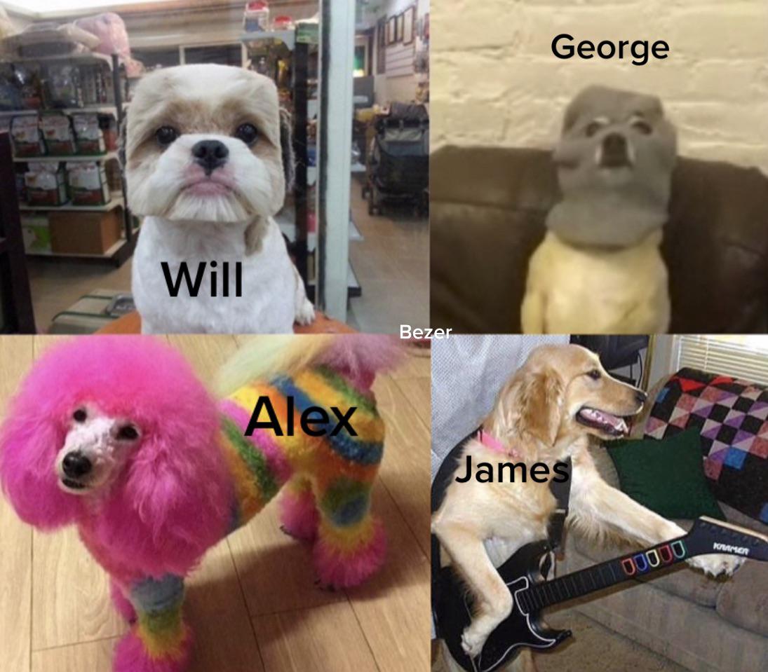 Does this represent them nicely ? | Scrolller