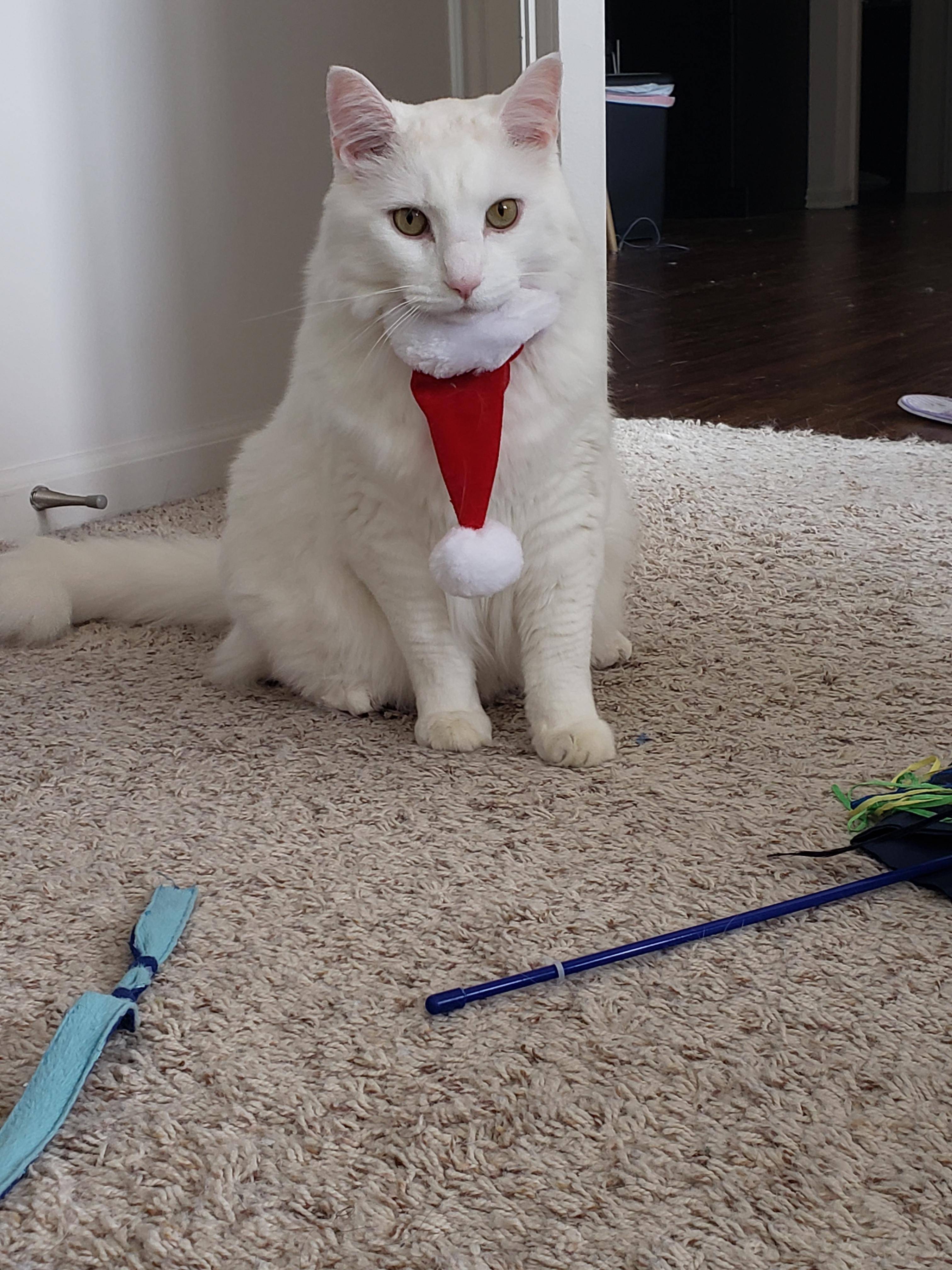 Does this still count? | Scrolller