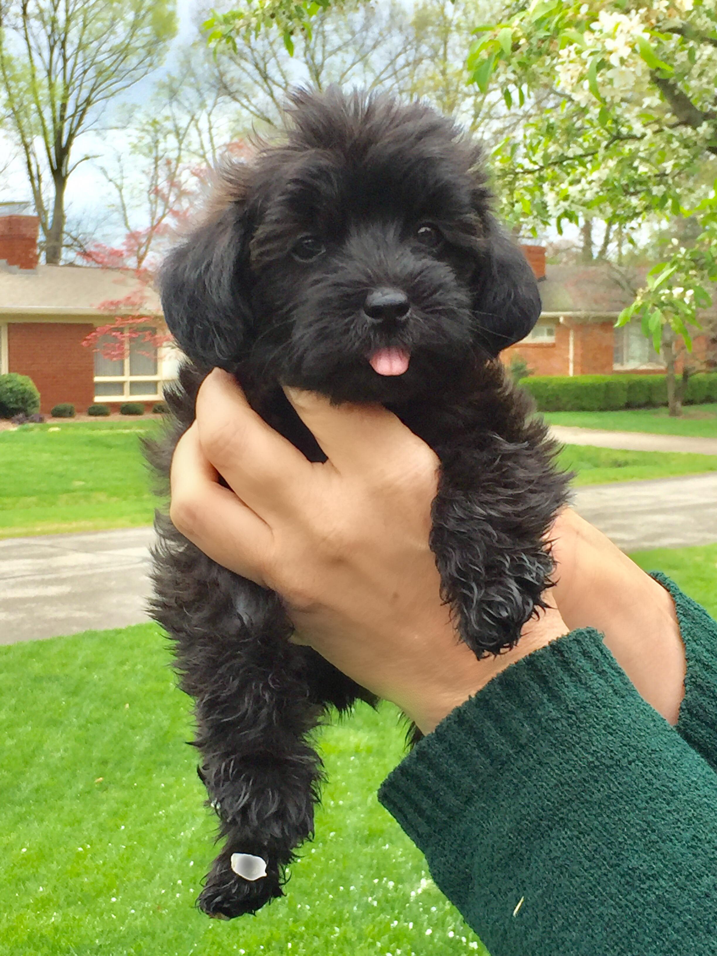 smol blop | Scrolller