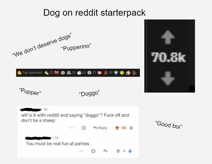 Dog on reddit starterpack | Scrolller