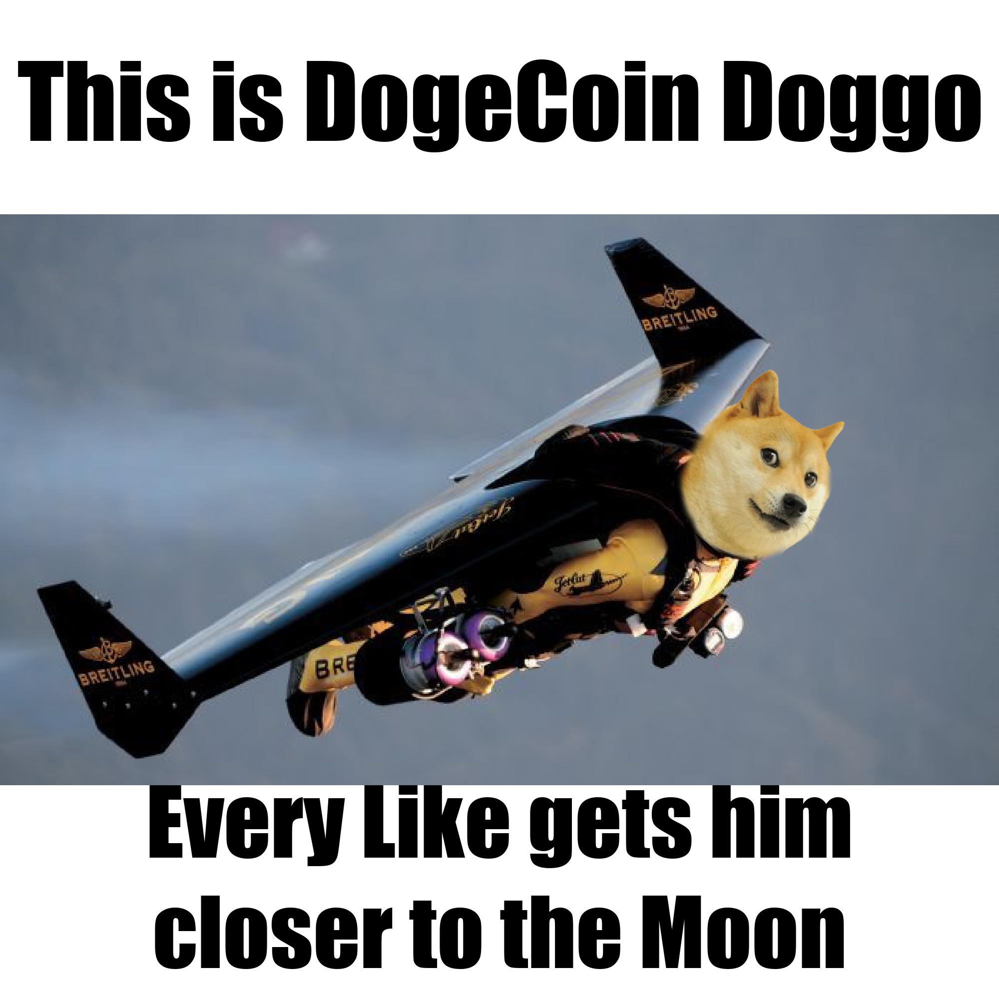 Doge | Scrolller