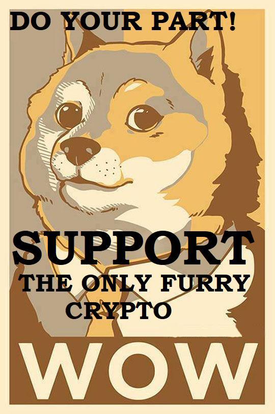 Doge_irl | Scrolller