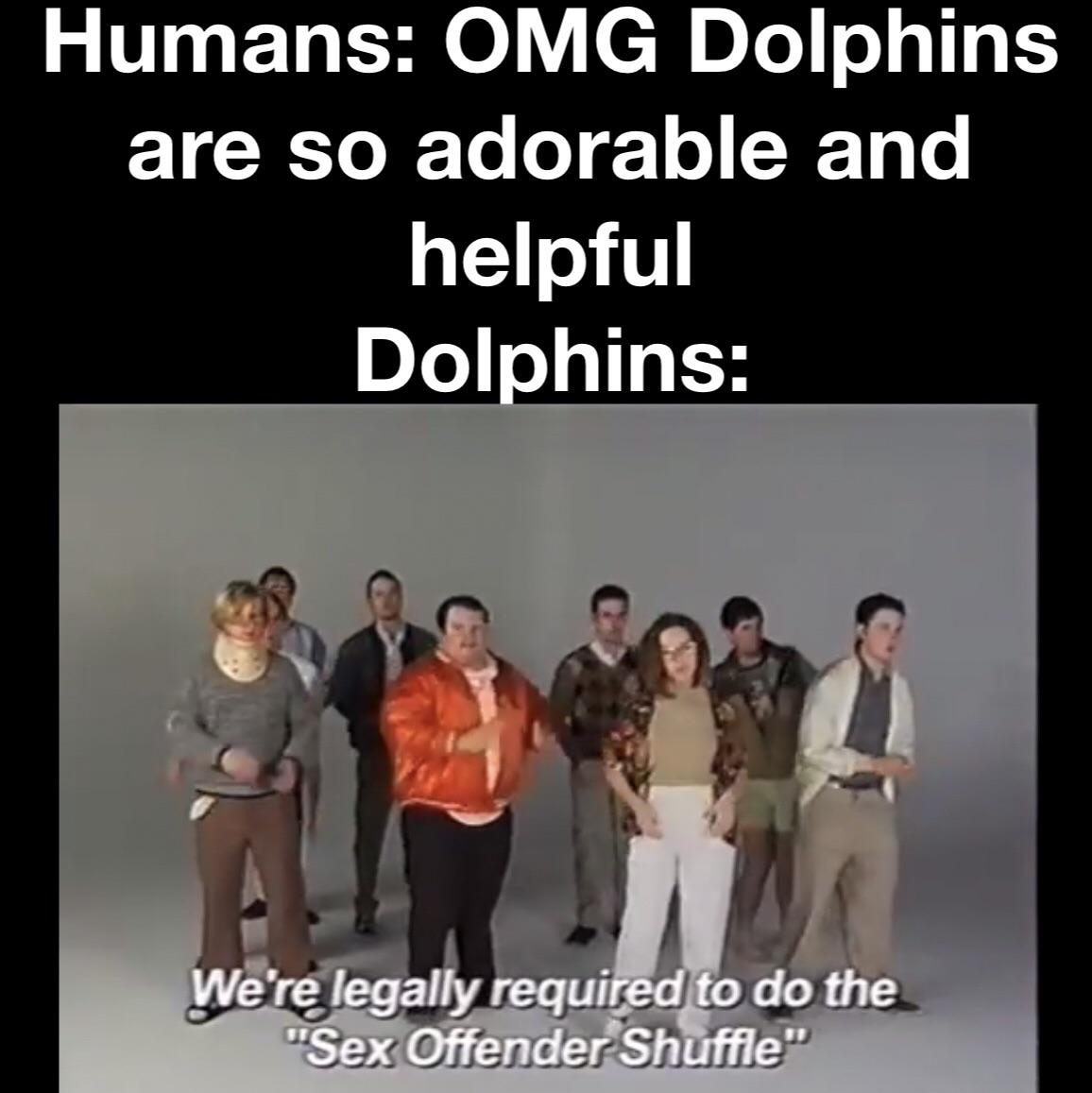 Dolphin shuffle | Scrolller