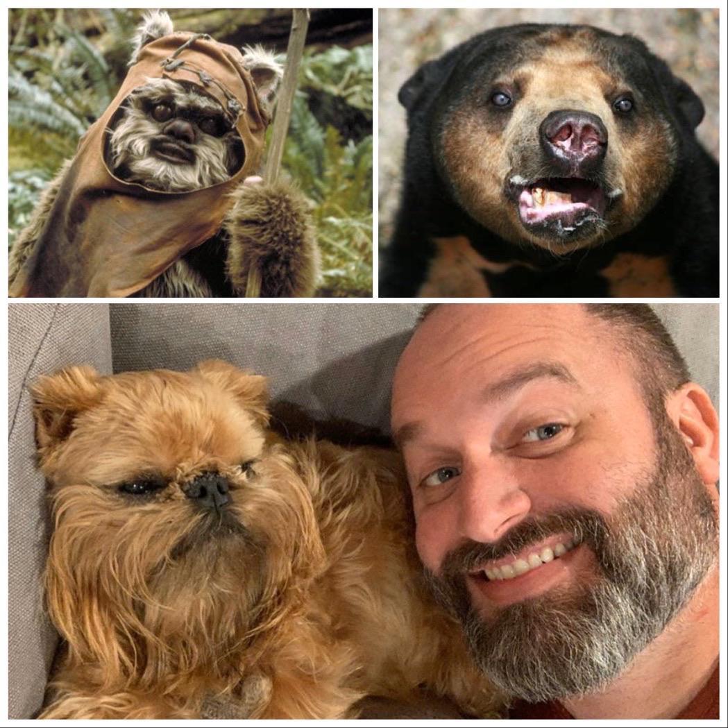 Domesticated | Scrolller