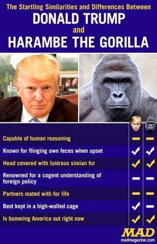 Donald wins again | Scrolller