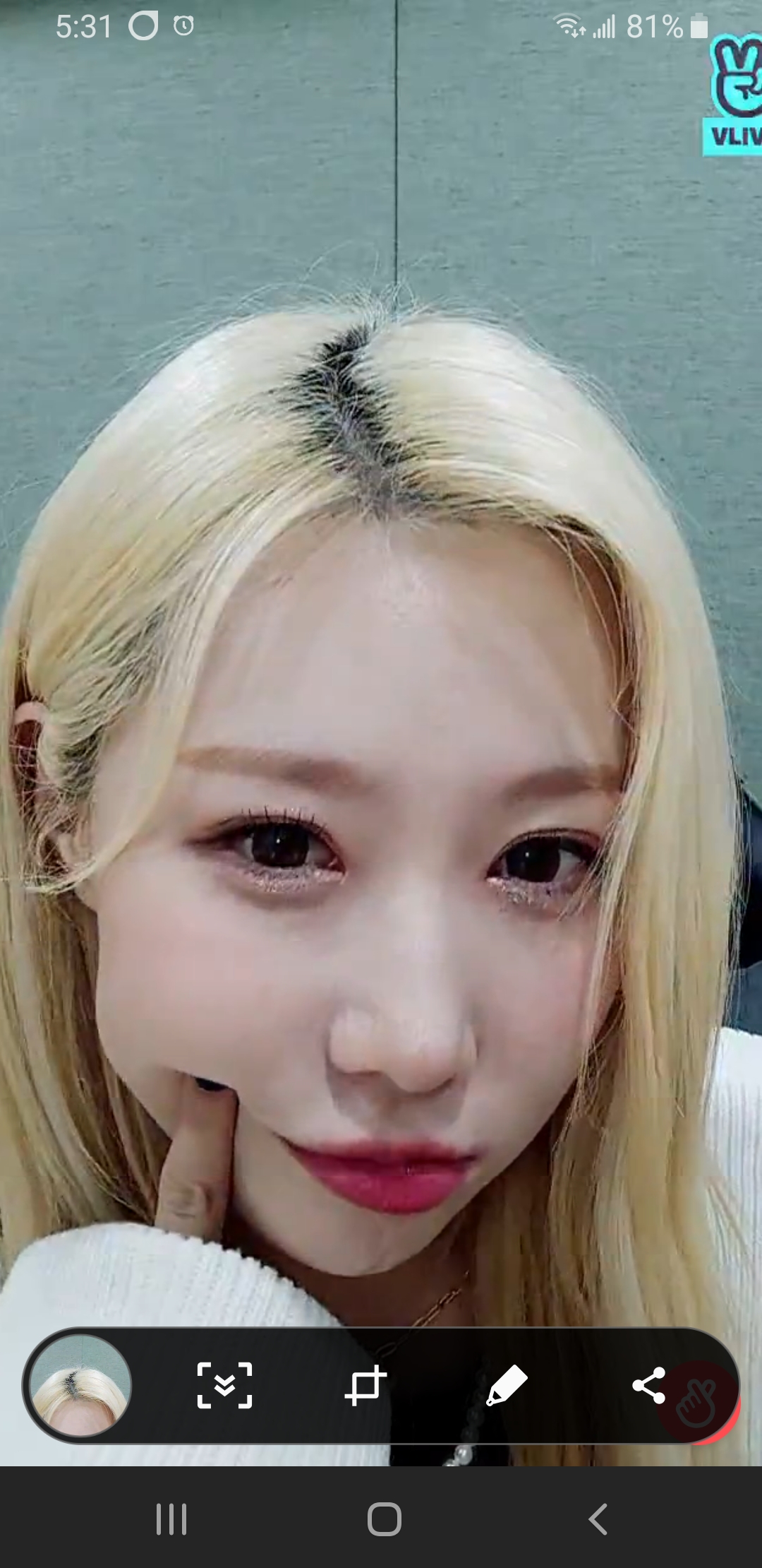 Dongie booping herself | Scrolller