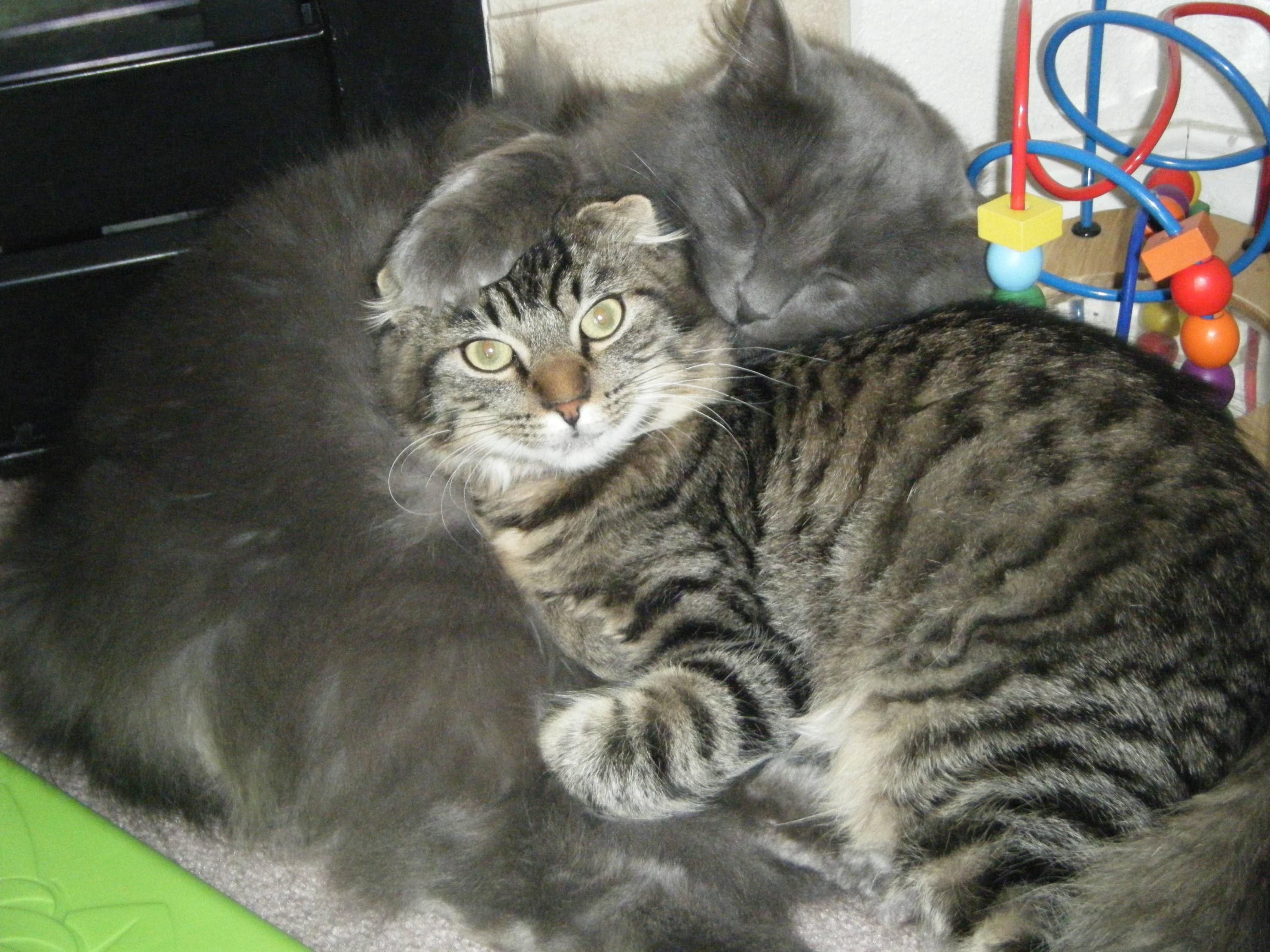 Don't just stand there! Do something! | Scrolller