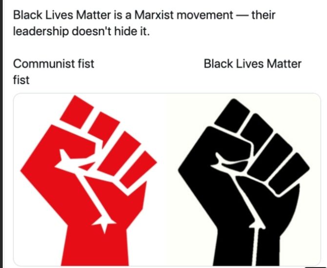 Don't support BLM because you are a communist!!! | Scrolller