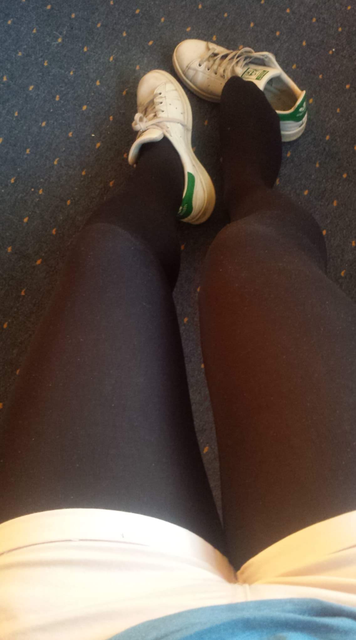 Dont want to spam Koko pics so heres a fave | Scrolller