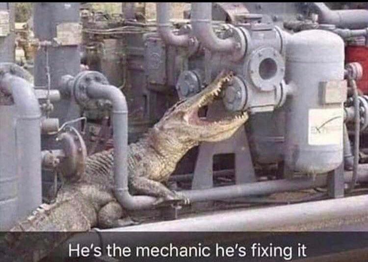 dont worry about it | Scrolller