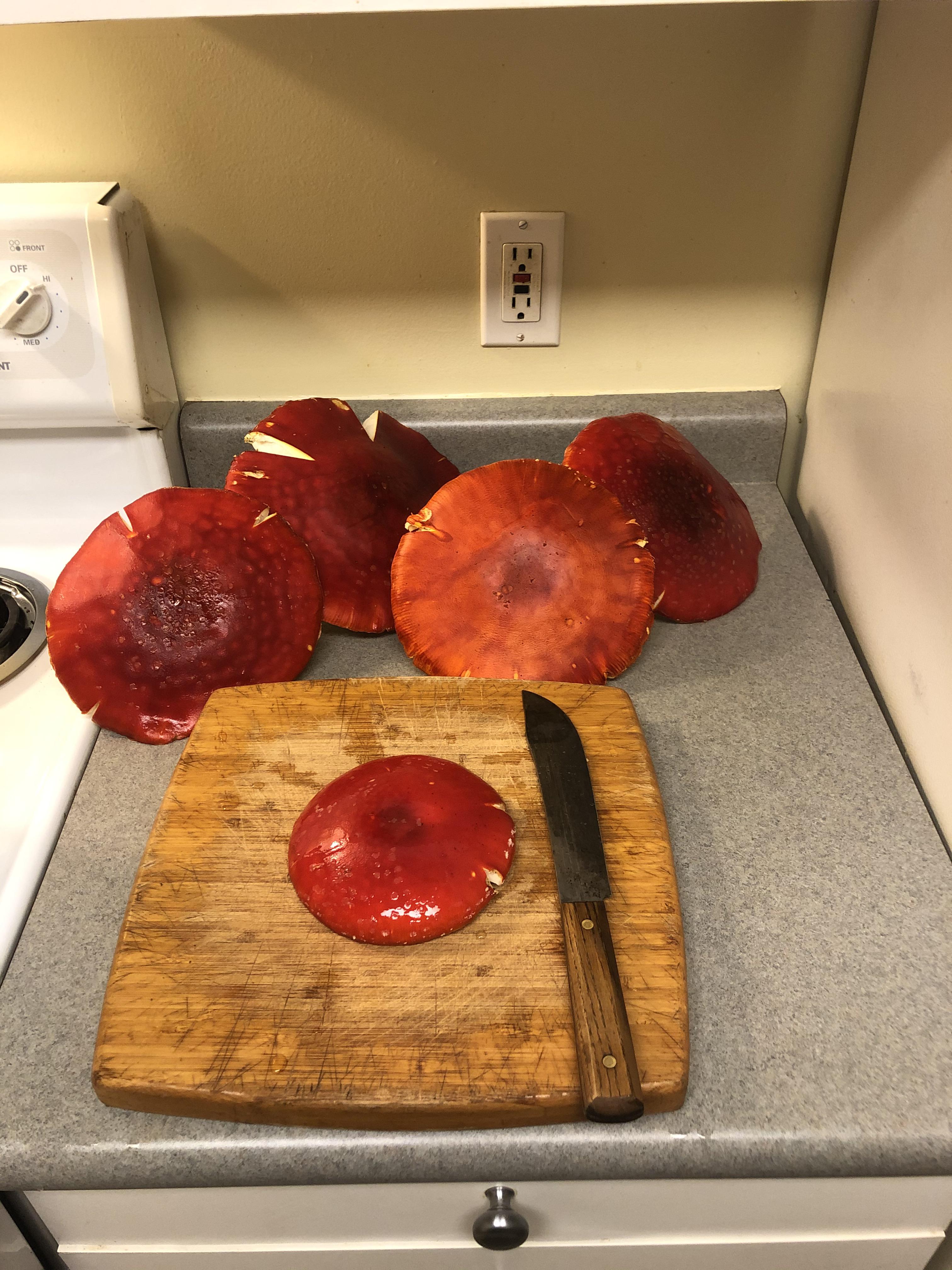 Dots removed. | Scrolller