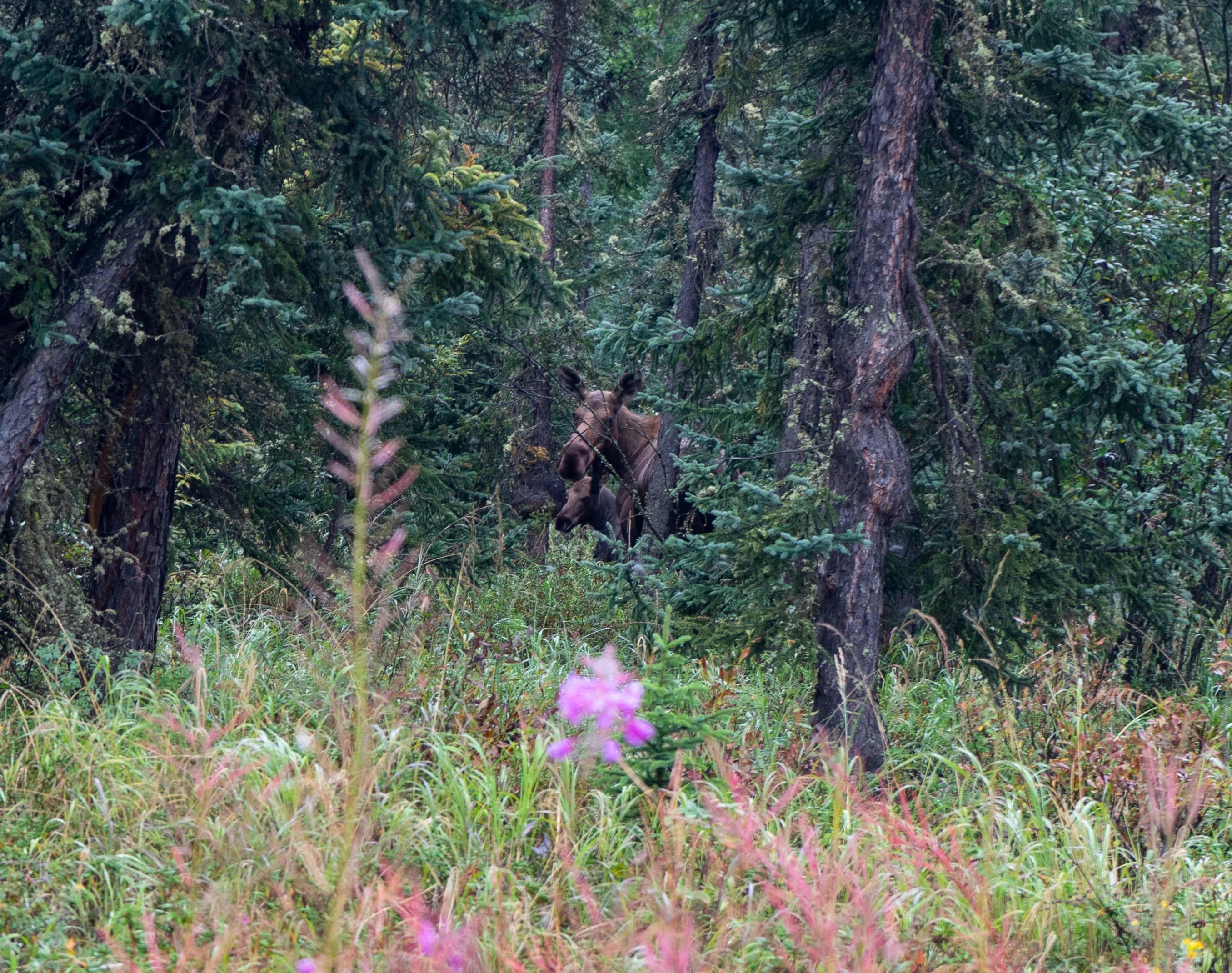 Double take | Scrolller