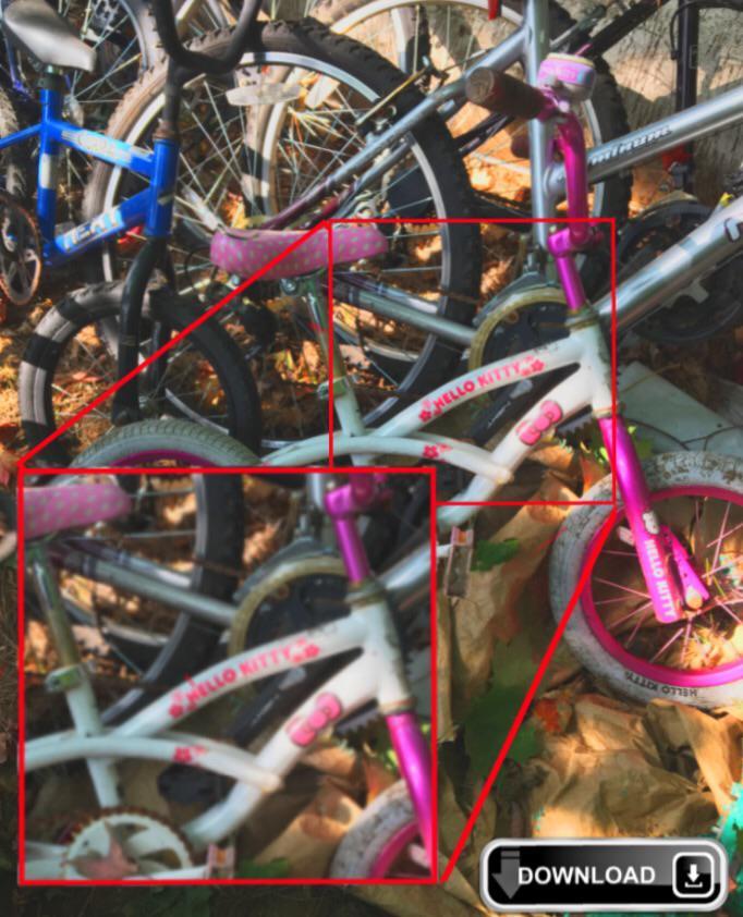 Download your memories | Scrolller