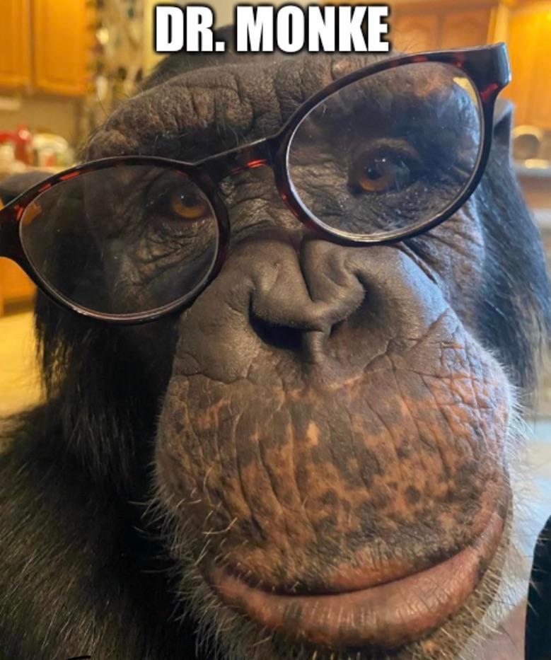 Dr. Monke | Scrolller