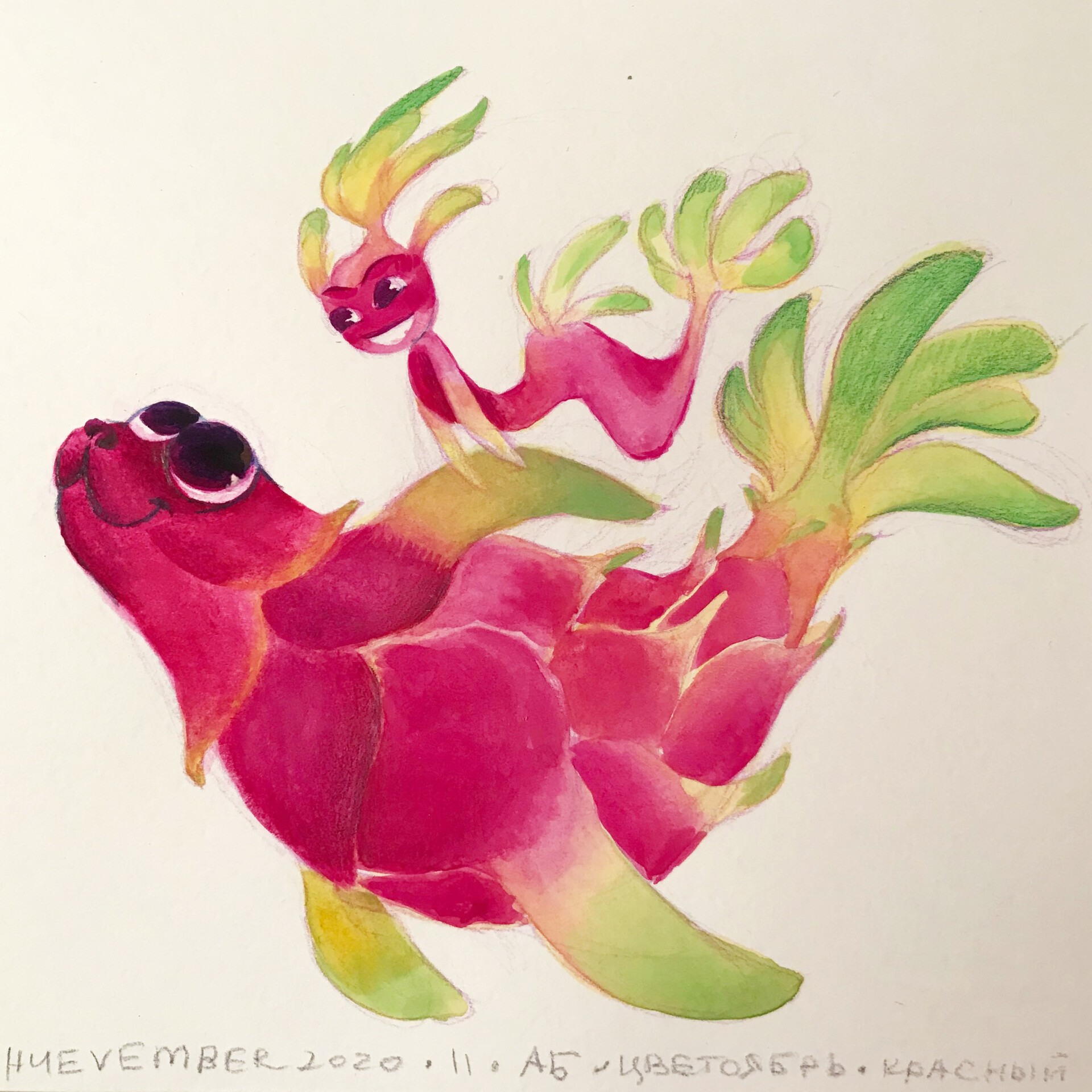 Dragon Fruit Sea Friends by Arina Bogatyrenko | Scrolller