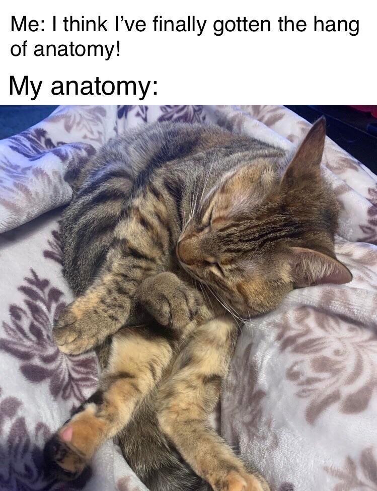 Drawing_irl | Scrolller