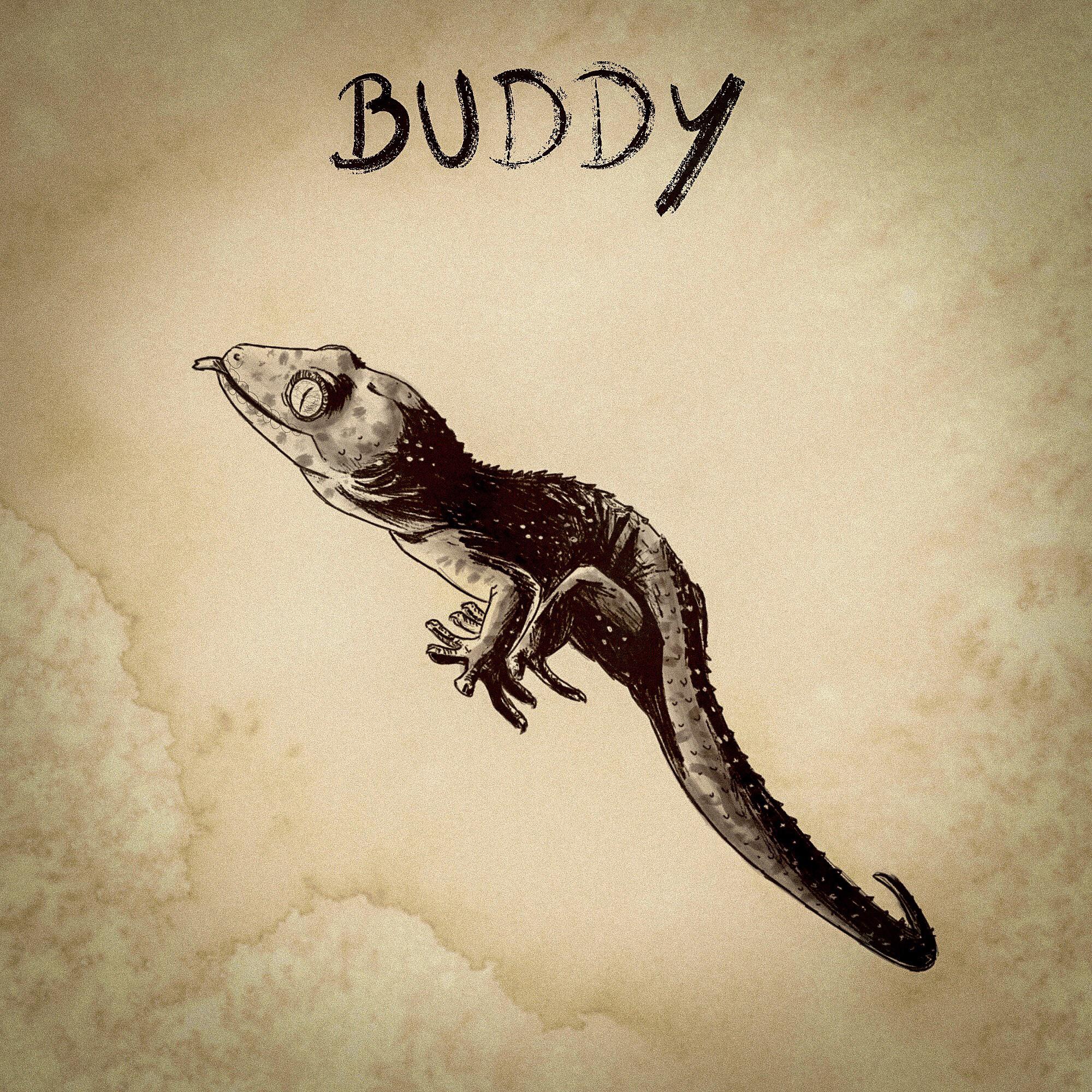 Drew my only tame Tokay for the Inktober challenge. | Scrolller