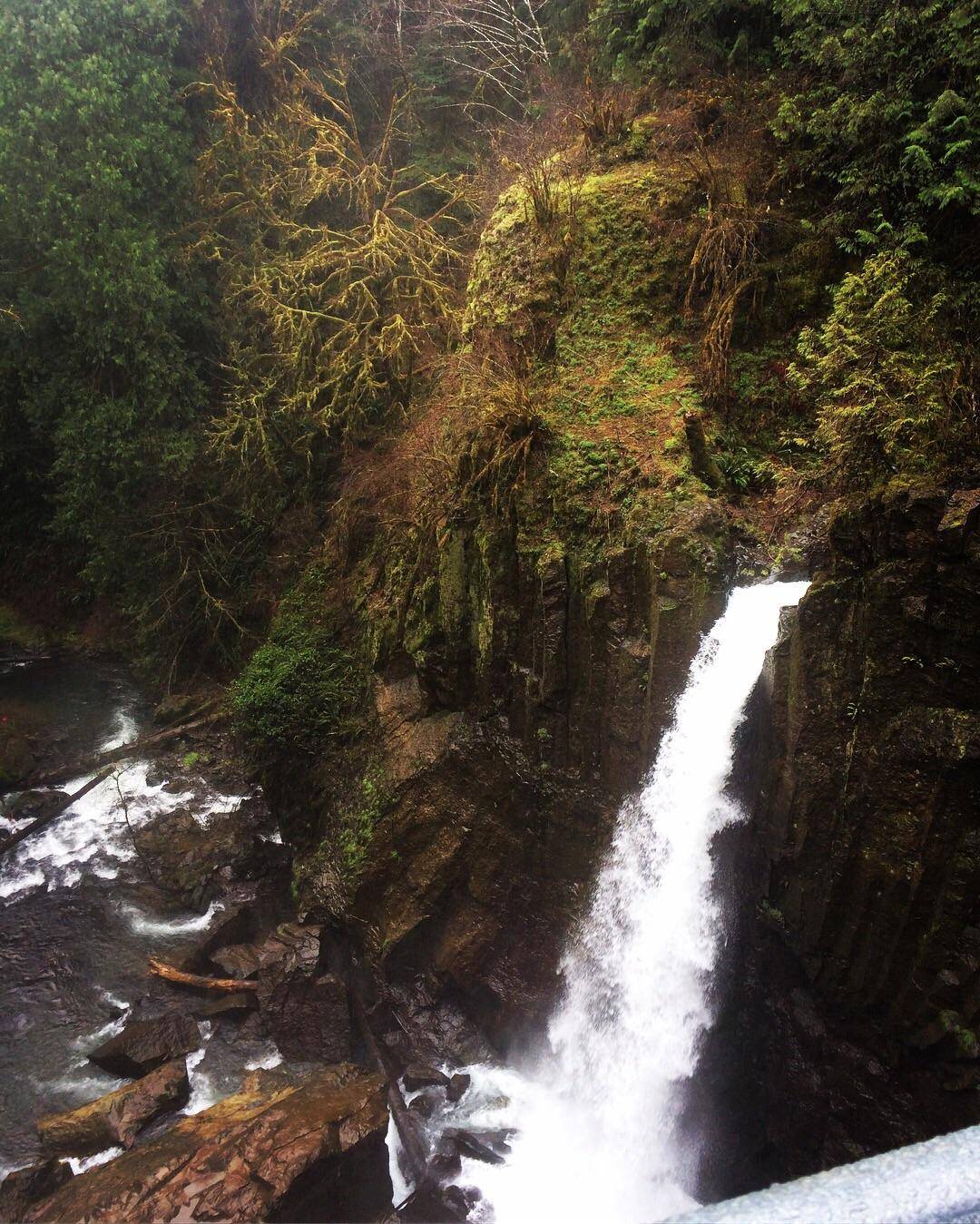 Drift Creek Falls | Scrolller