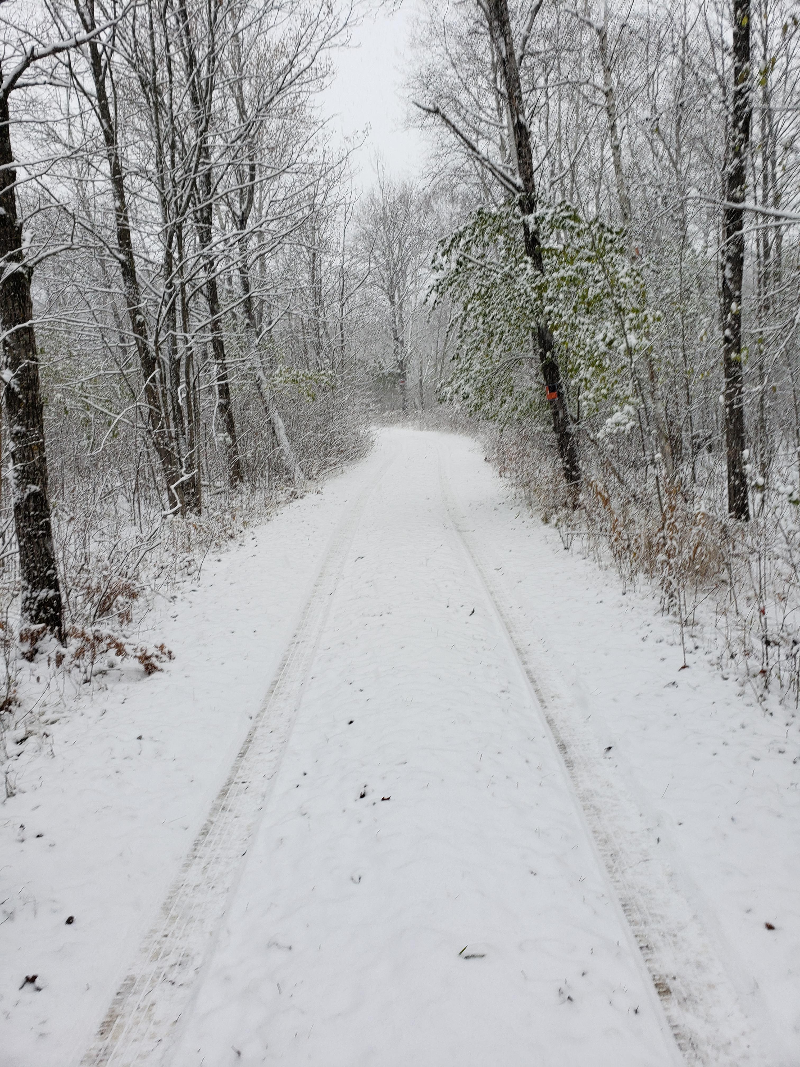 Driveway, first snowfall. | Scrolller