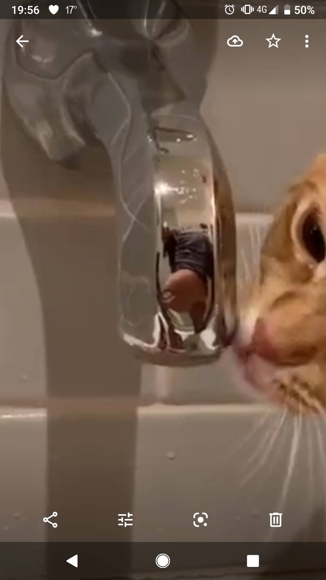 Drum roll please ... Nothing but disappointment | Scrolller