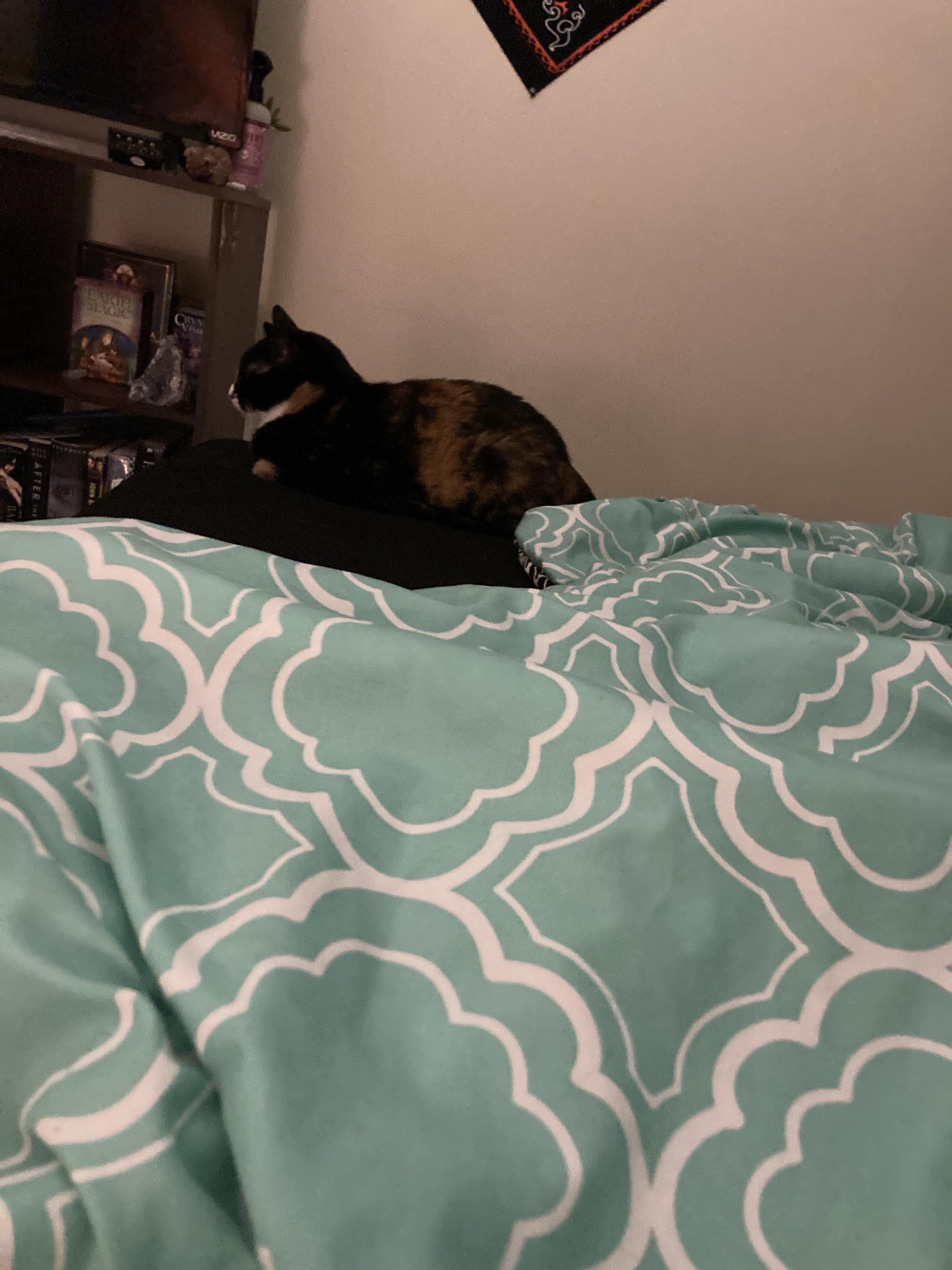Drunk On Vodka With My Buddy While My Gf Is Sleeping Next To Me Good Times Scrolller