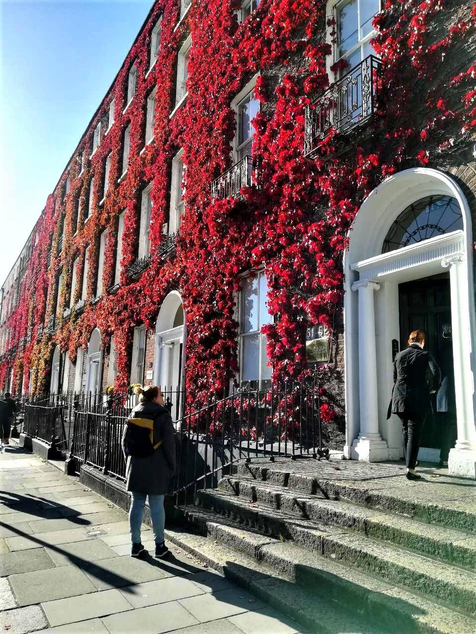 Dublin, Ireland | Scrolller