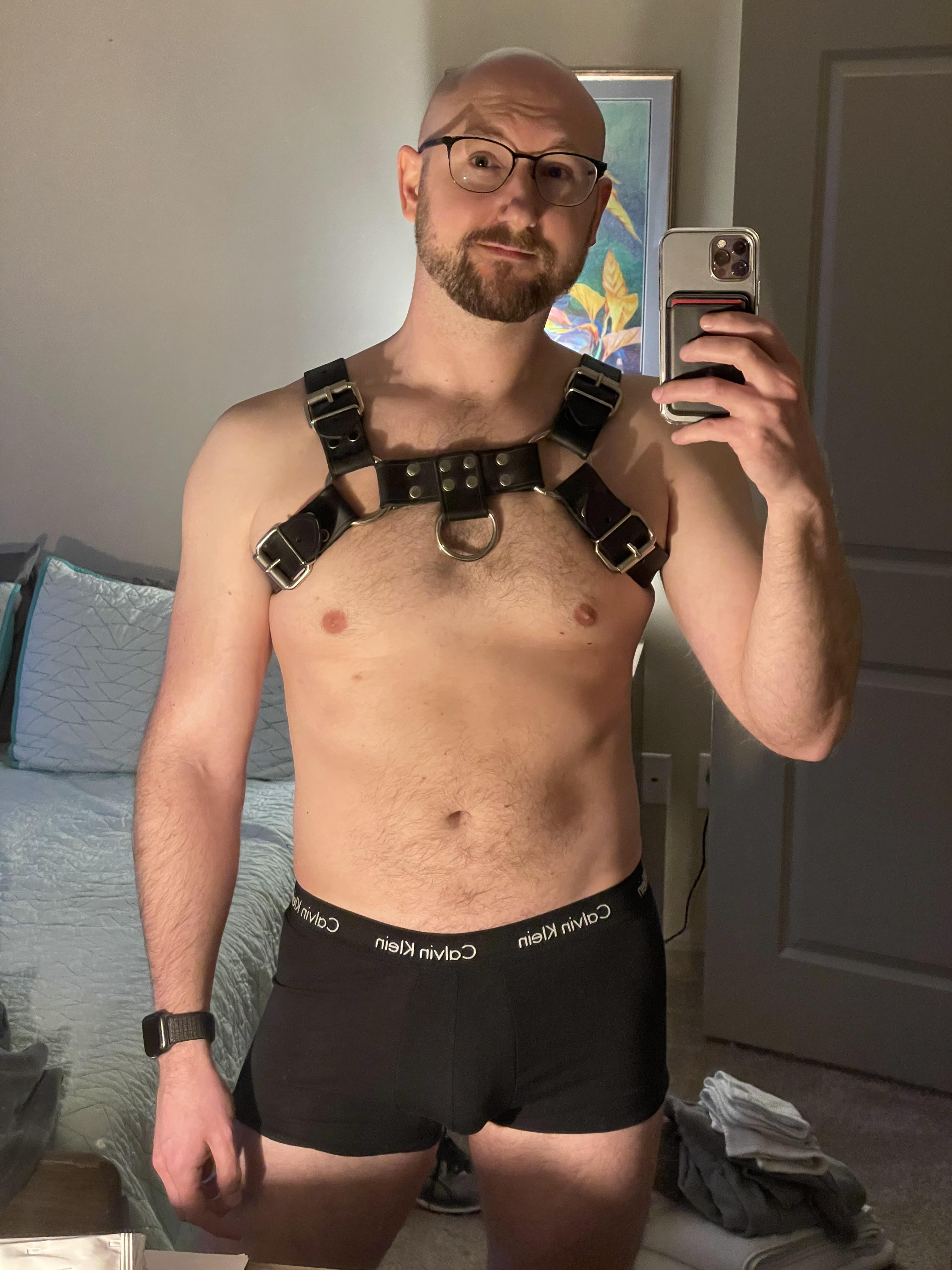Dug this harness out of its drawer to show off for all the boys [34] | Scrolller