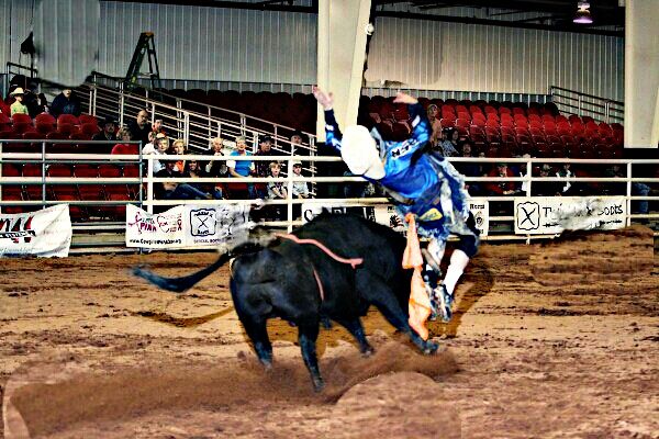dusty tuckness, famous rodeo clown, backflipping over a bull | Scrolller