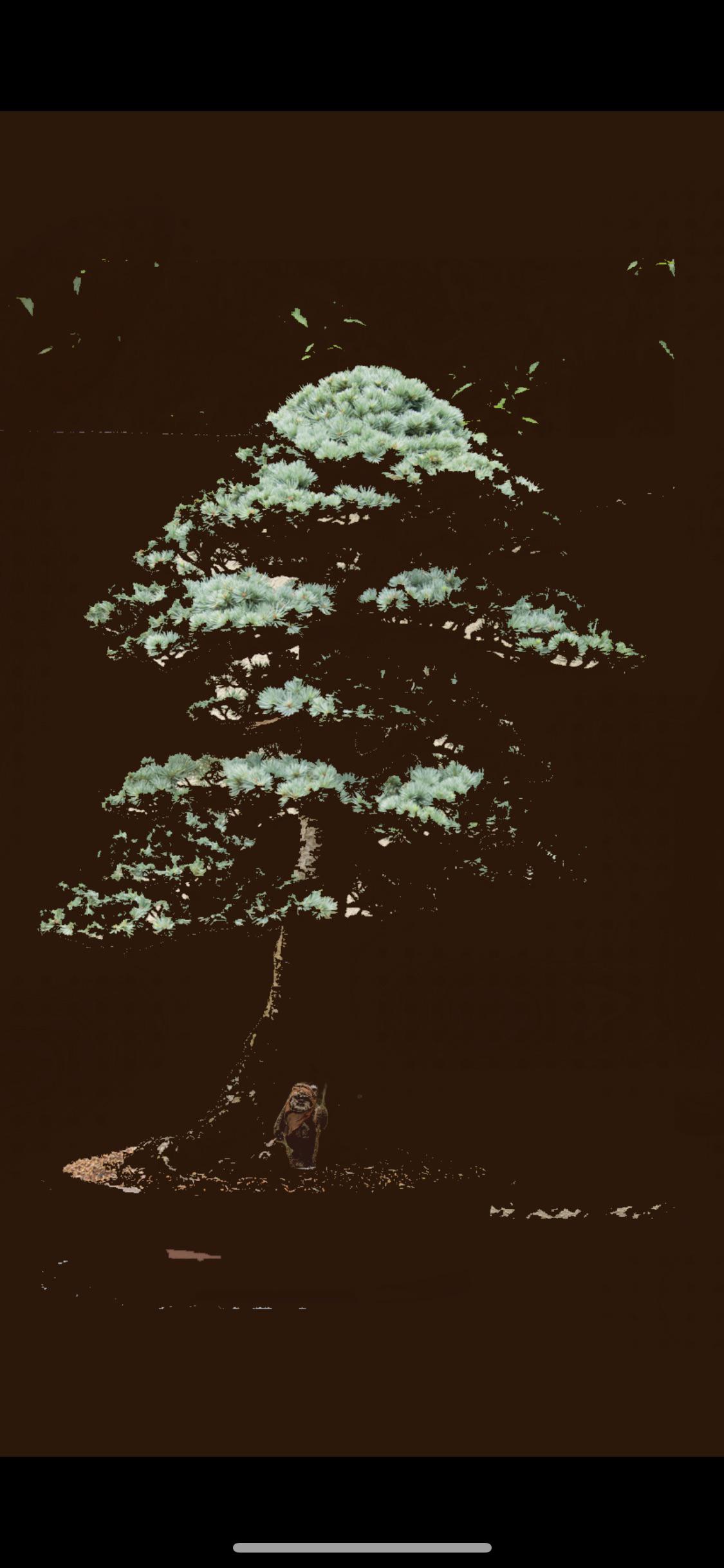 E-walking on a bonsai | Scrolller