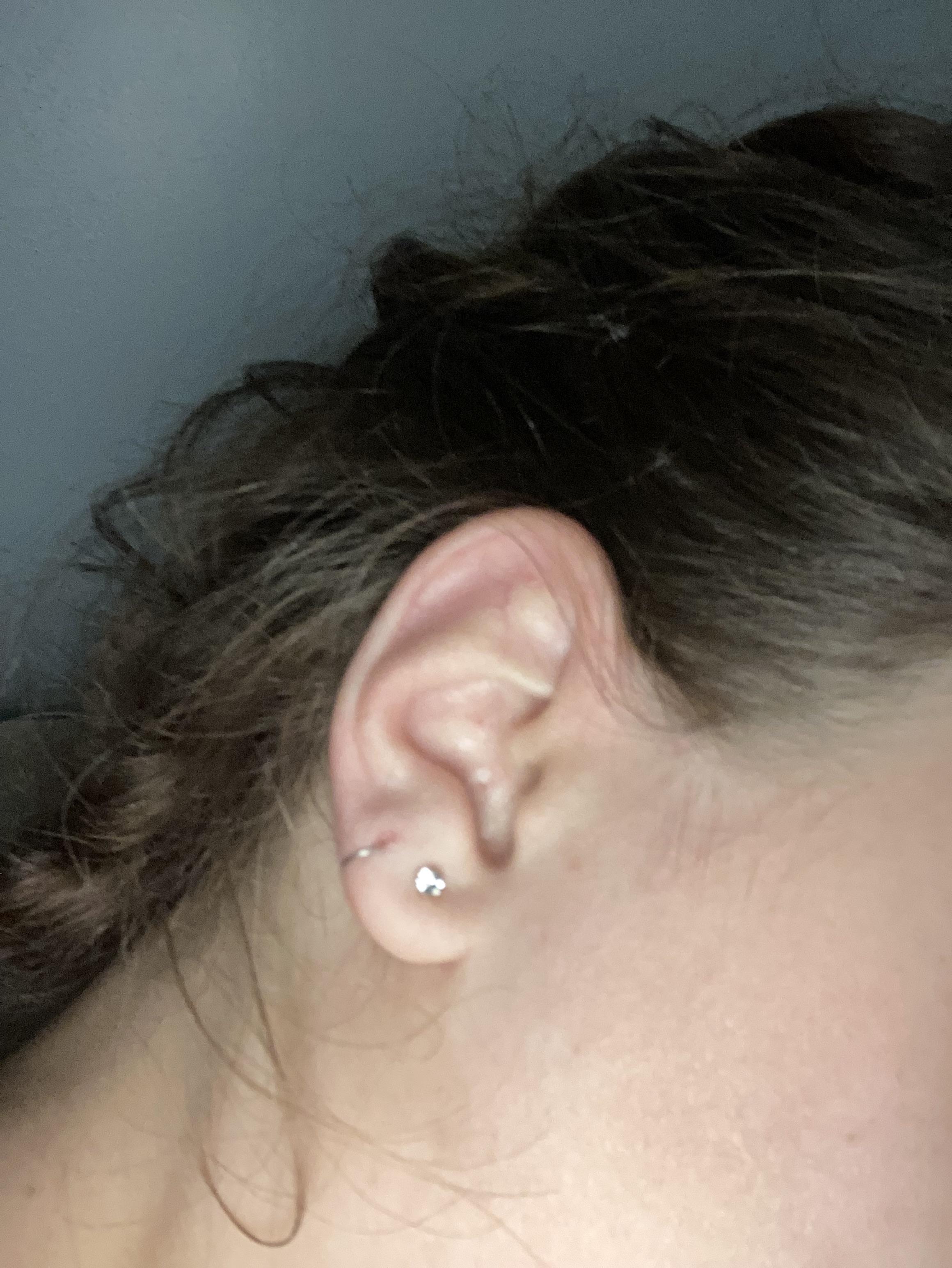 Ear anatomy okay for industrial? | Scrolller