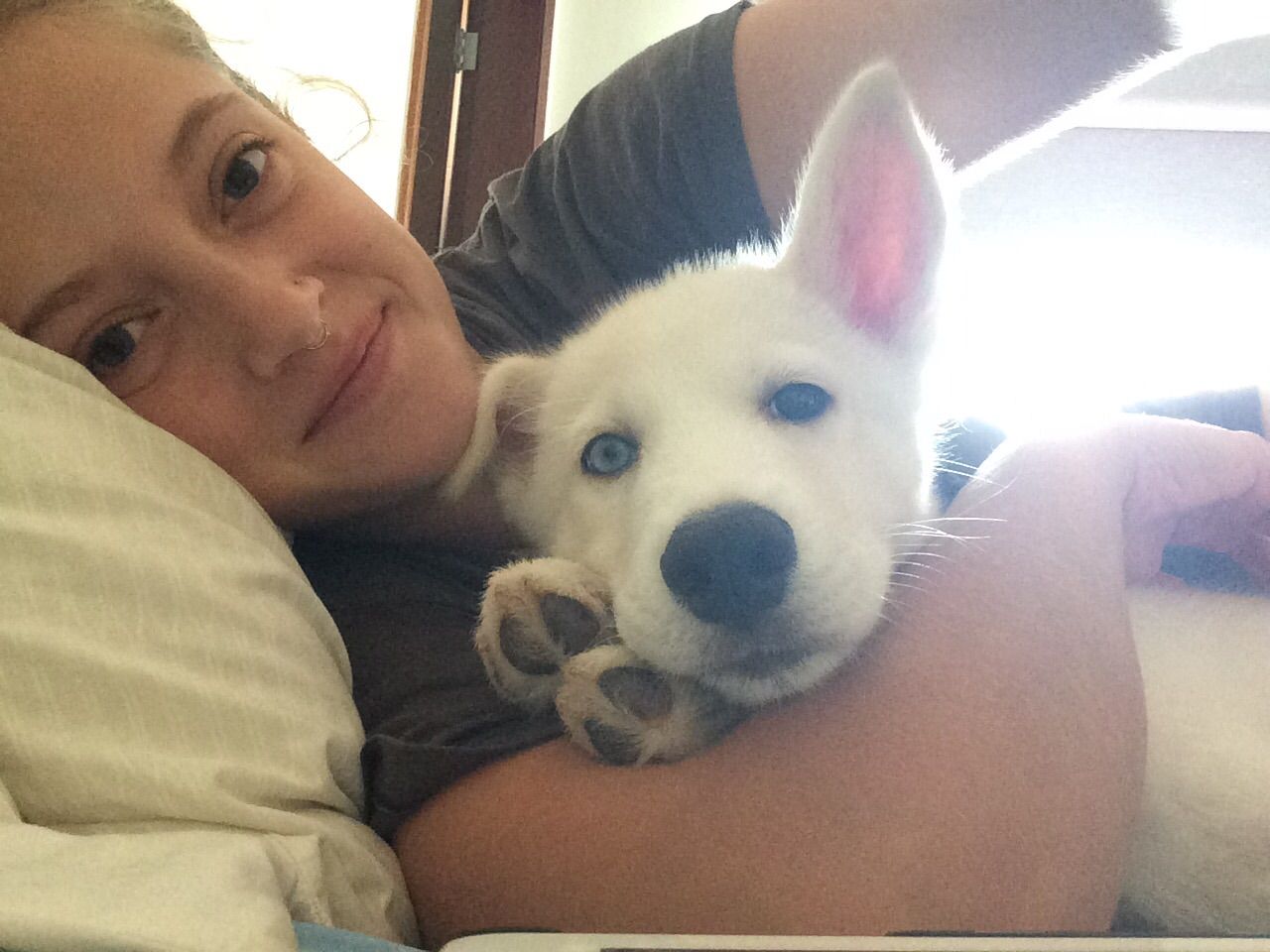 Early morning cuddles with my pup. | Scrolller