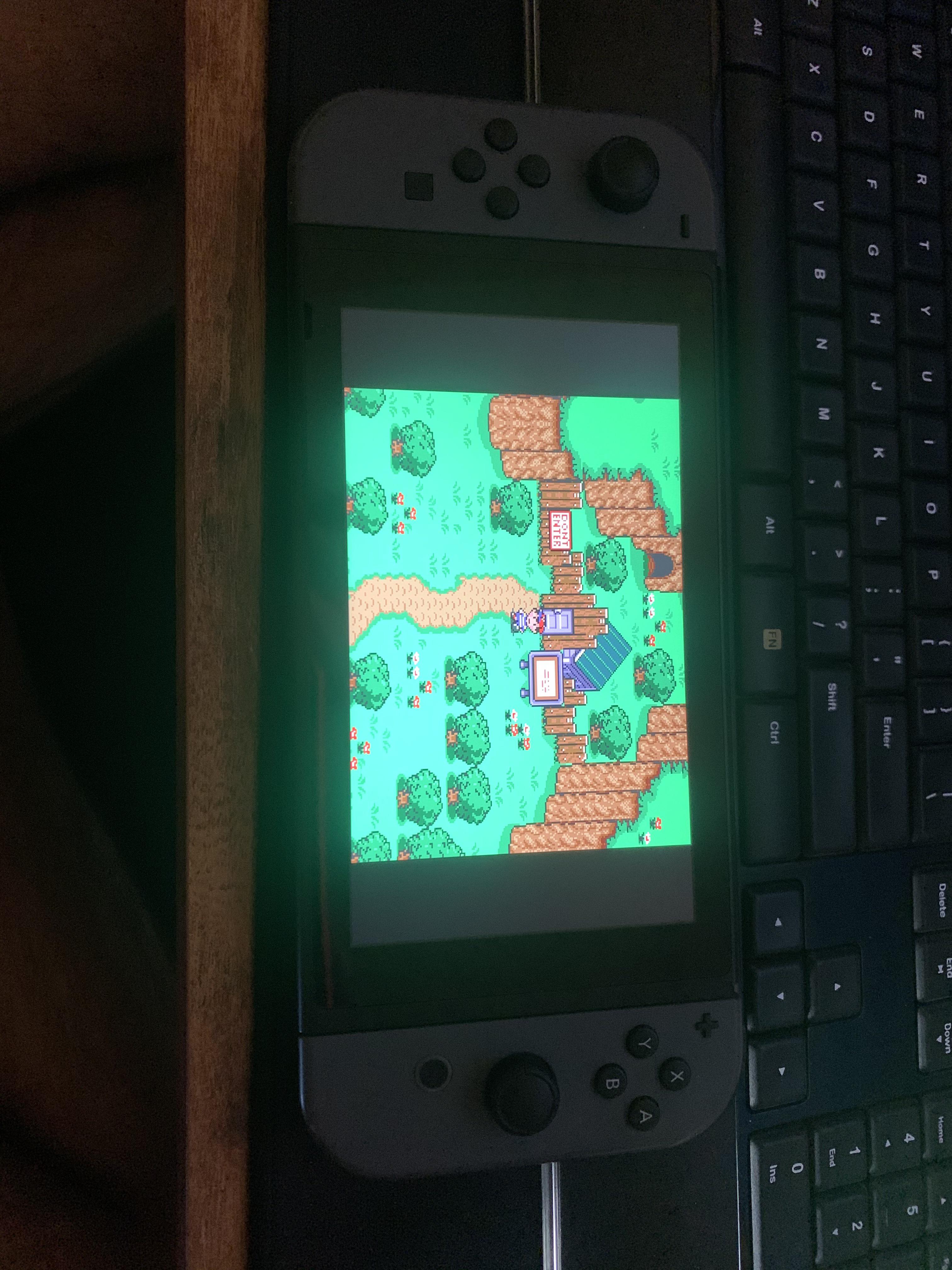 Earthbound running on my Nintendo Switch | Scrolller