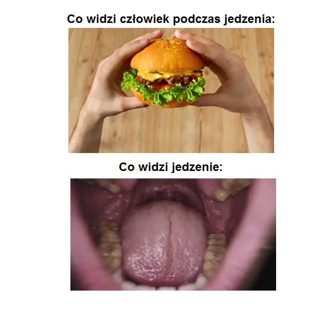 Eating POV | Scrolller