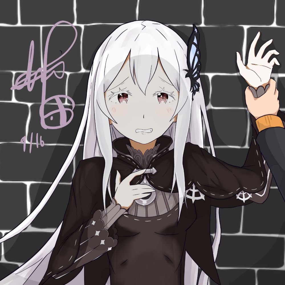 Echidna Kabe-don | Scrolller