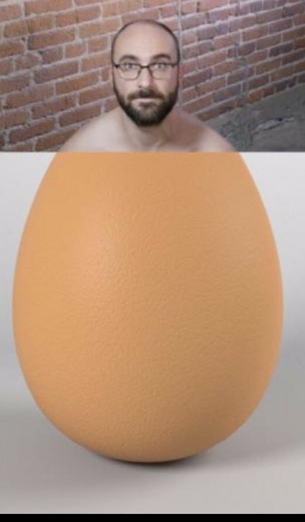 Egg | Scrolller
