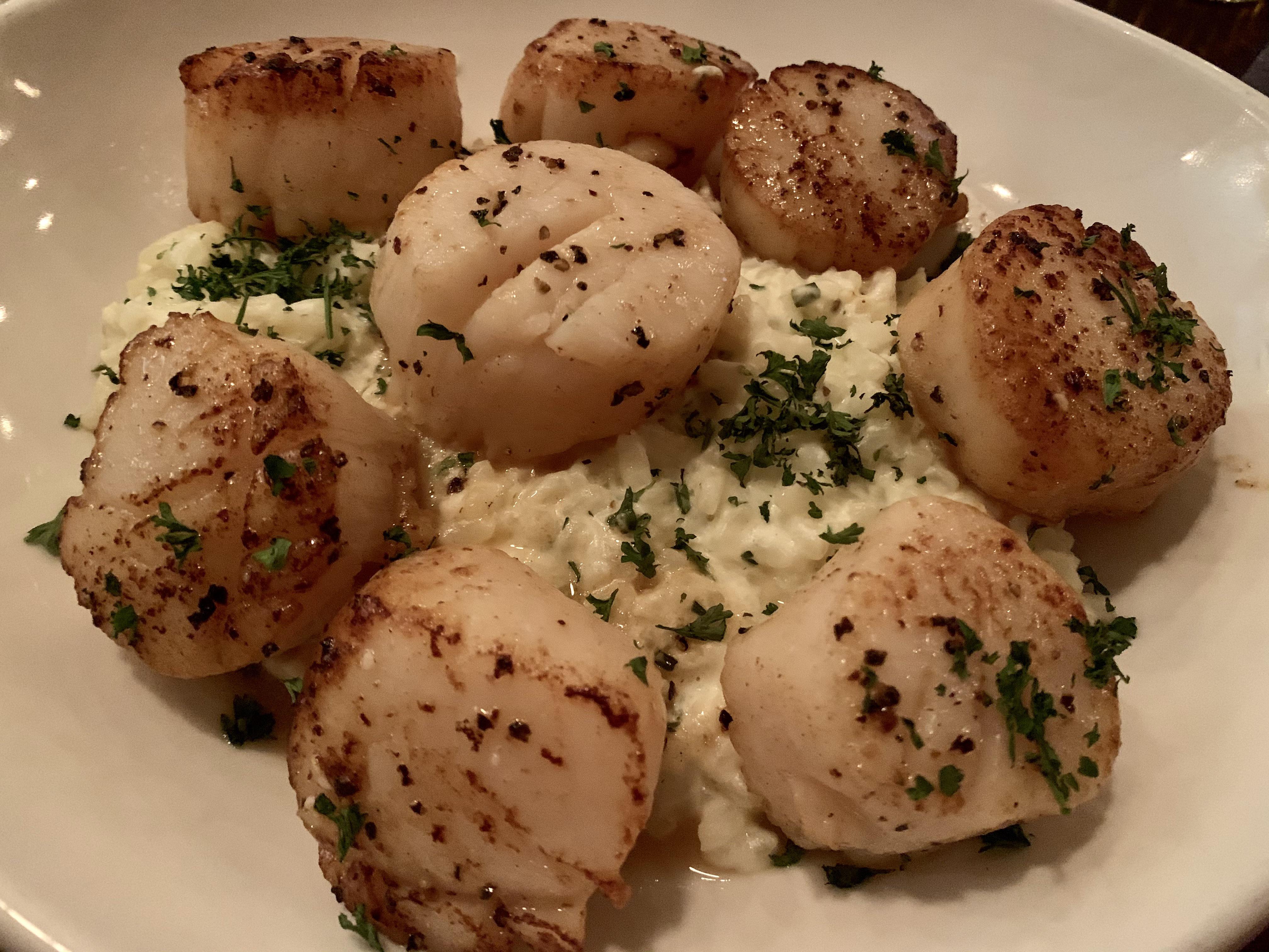 Eight scallops over a creamy cheesy barley risotto | Scrolller