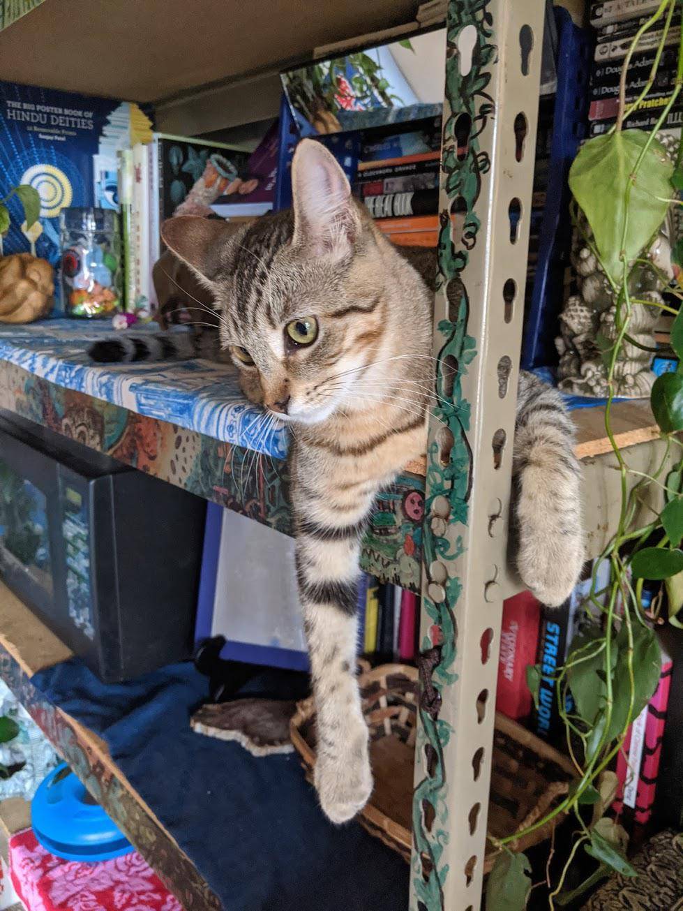 El Smoocho hangs out | Scrolller