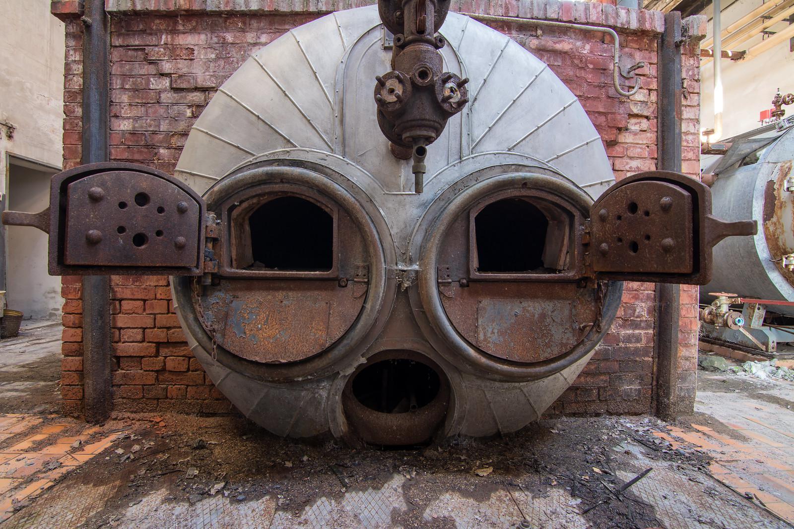 Elderly boiler can't believe its eyes | Scrolller