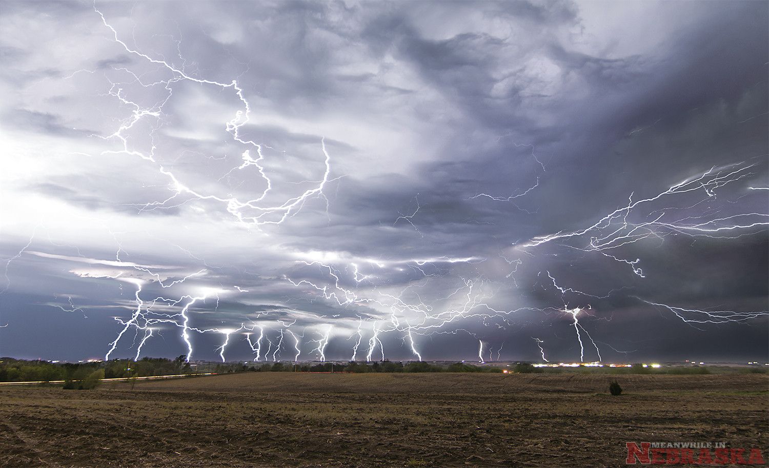 Electric Madness | Scrolller