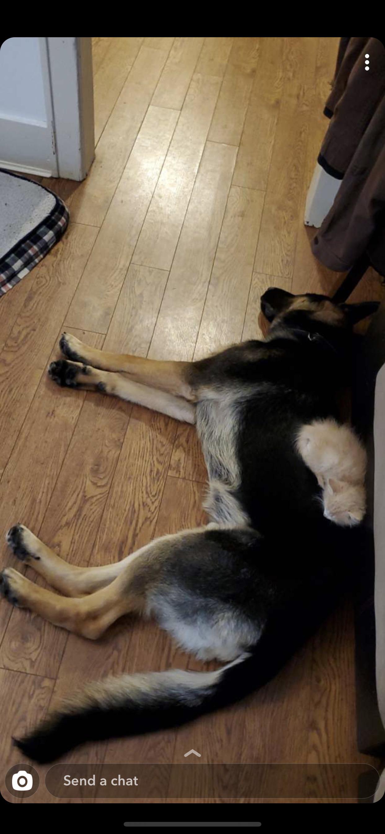 Elijah and his new brother Beau! | Scrolller