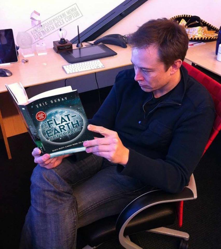 Elon doing some research | Scrolller