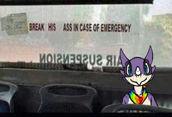 emergency_irl | Scrolller